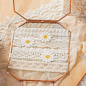 NCYP Wall Hanging 8X10 inches Long Octagon Herbarium Rose Gold Copper Glass Frame for Pressed Flowers, Dried Flowers, Poster, Double Glass, Floating Frame Style, Glass Frame Only