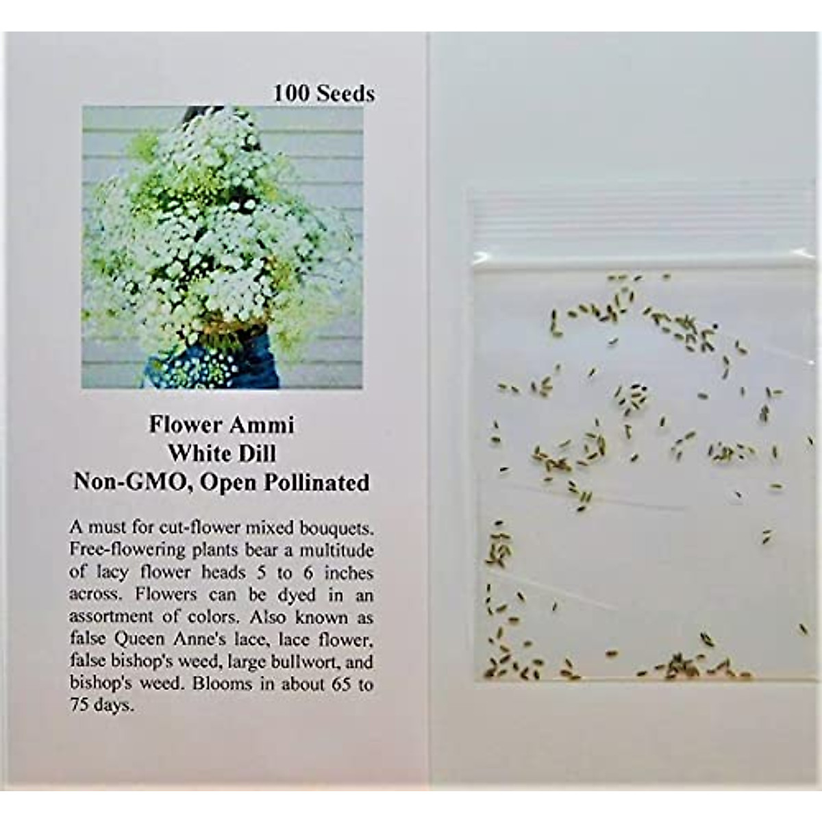 David's Garden Seeds Flower Ammi White Dill 8375 (White) 100 Non-GMO, Heirloom Seeds