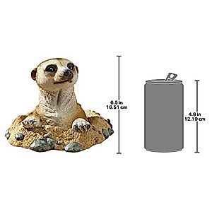 Design Toscano QL57081 Out of the Kalahari Meerkat Garden Animal Statue, 10 Inch, Polyresin, Full Color