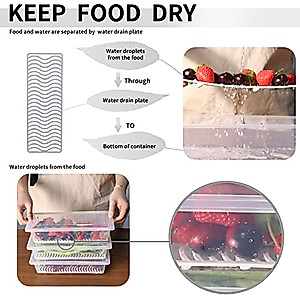 77L Food Storage Containers, (3-Pack) Plastic Food Container with Removable Drain Plate and Lid, Stackable Portable Freezer Storage Containers - Tray to Keep Fruits, Vegetables, Meat and More (Medium)