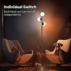 SIBRILLE LED Floor Lamp for Bedroom, 3 Globe Bright Standing Lamp with Remote Control, 4 Color Temperaure Dimmable Modern Bedroom lamp for Living Room Home Office, 24W, Black