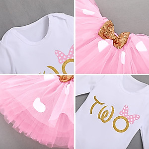 IBTOM CASTLE 2nd Birthday Outfit Girl Cake Smash Two Wild Sweet Bodysuit Romper +Sequin Polka Dots Tulle Tutu Dress+Headband 2 Year Old Birthday Party Clothes Pink-two 2 Years