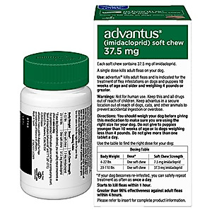 Advantus Dog Advantus Chewable Flea Treatment for Dogs 23 - 110 lbs. | 7 ct.