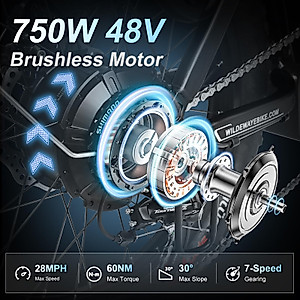 Wildeway FW11 Electric Bike 48V 32Ah Battery 750W 30MPH Folding Electric Bike for Adults, 20'' Fat Tire Mountain Ebike Bicycles, 7-Speed Gears and Dual Shock Absorber, Step-Thru 32AH Grey