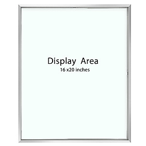 Golden State Art, 16x20 Floating Frame, Silver Aluminum Picture Frame, Clear Glass Displays Any Size Photo Up to 16x20, for Wall or Table Top Decoration