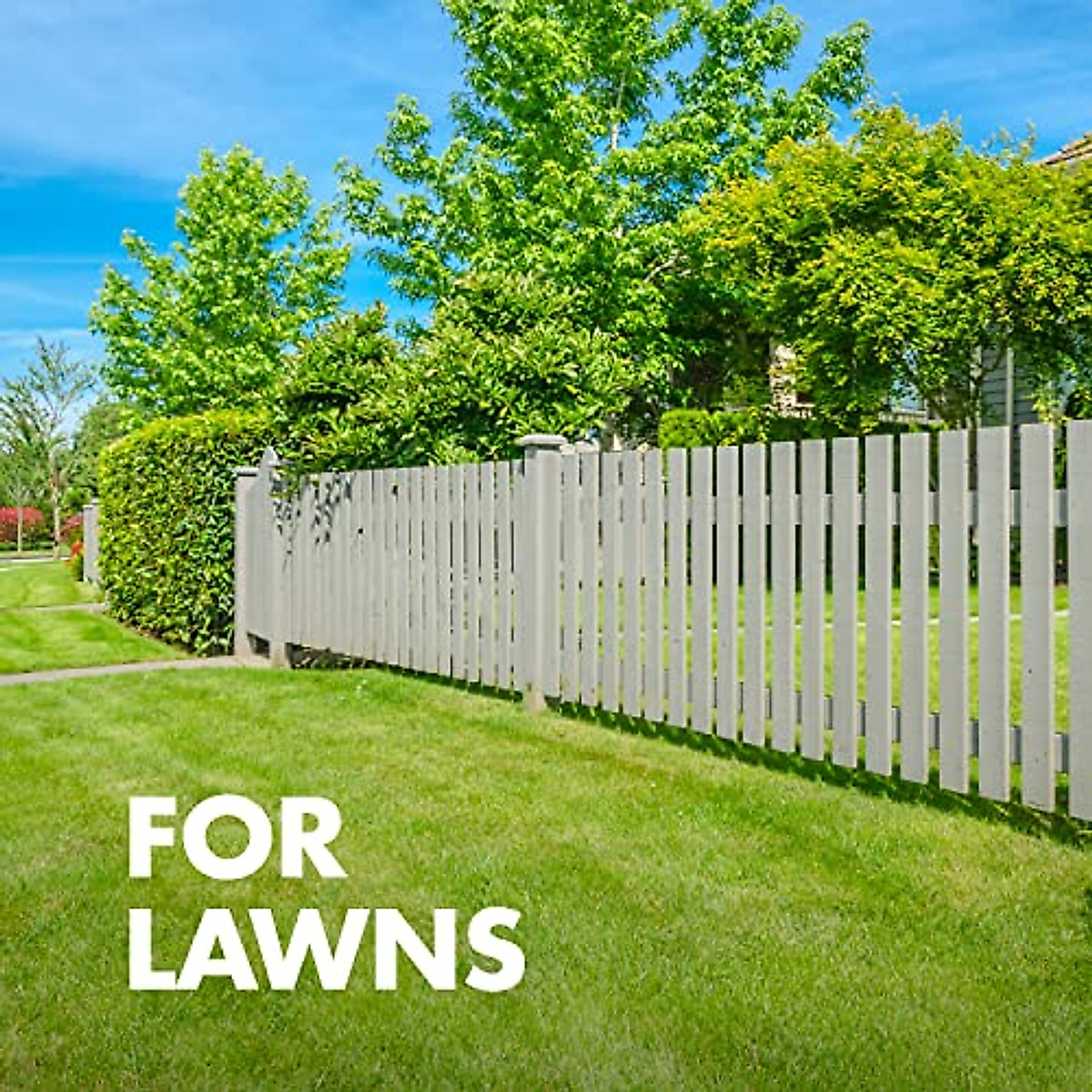 Spectracide Immunox Fungus Plus Insect, 1 Pack