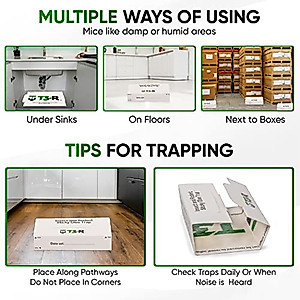 T3-R ​​Sticky Large Rat & Mice Glue Traps | Mouse and Insect Glue Boards | Disposable Non-Toxic Glue Traps for Mice and Rats | Peanut Butter Scent Sticky Traps (36 Pack)