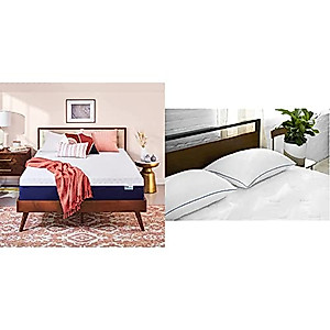 Sleep Innovations Shiloh Medium Memory Foam Mattress, 14 Inches, Queen & Premium Shredded Gel Memory Foam Pillows, Queen (Pack of 2)
