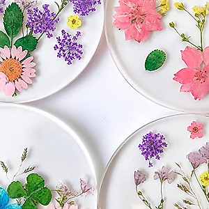 Drink Coasters Flower Cup Mat-Epoxy Resin Coasters with Colorful Natural Floral Reusable Round Kitchen Utensils for Dining Cups (Set of 4) (4, BD0001)