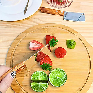 Ruksifg Mini Kitchen Knife Set 2pcs Package Box Cutter Mini Fruit Knife for Home Kitchen Cheese Knife