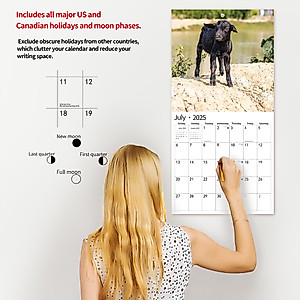 2024 Wall Calendar,Calendar 2024, November 2023 - December 2024, Wall Calendar Pathway, 12" x 24" Opened,Full Page Months Thick & Sturdy Paper for Gift Perfect Calendar Organizing & Planning