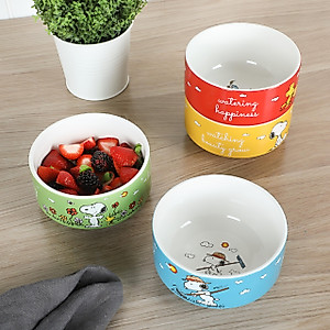 Peanuts Snoopy 4 Pack Stackable 5.5" Decorated Stoneware Bowl Set
