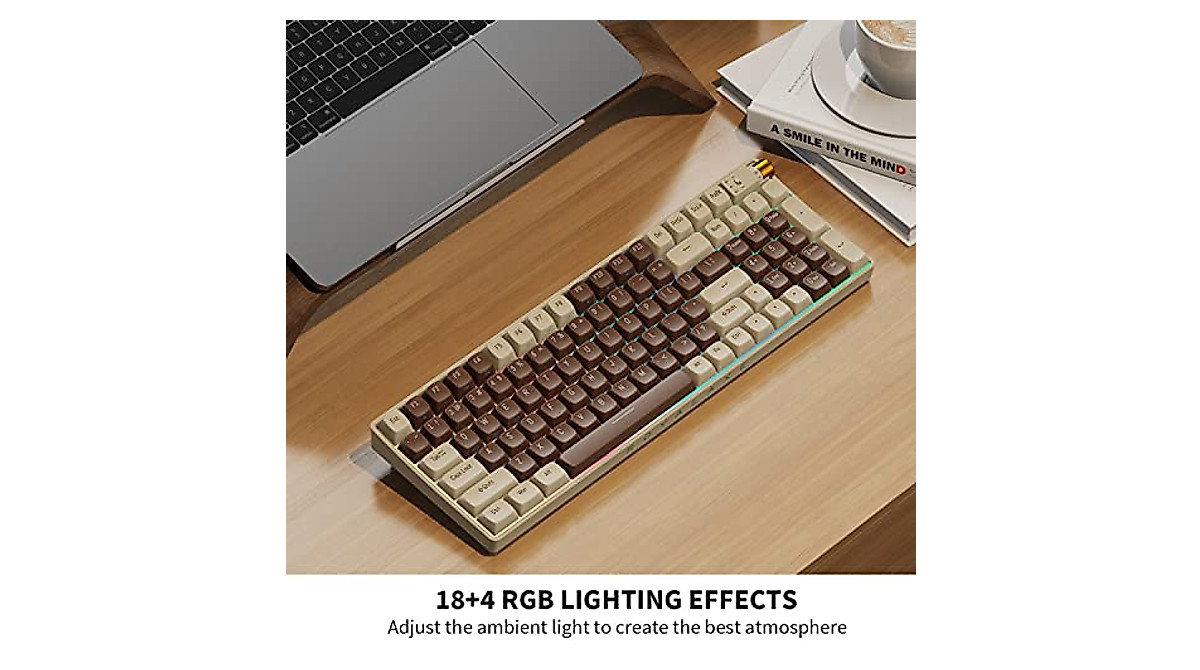 ROYALAXE X ProtoArc R100 Wireless Mechanical Keyboard, Hot Swappable ...