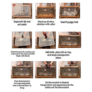 Puppy Incubator with Temperature Contol