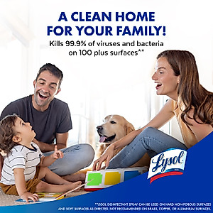 Lysol Disinfectant Spray, Sanitizing and Antibacterial Spray, For Disinfecting and Deodorizing, Crisp Linen, 1 Count, 12.5 fl oz