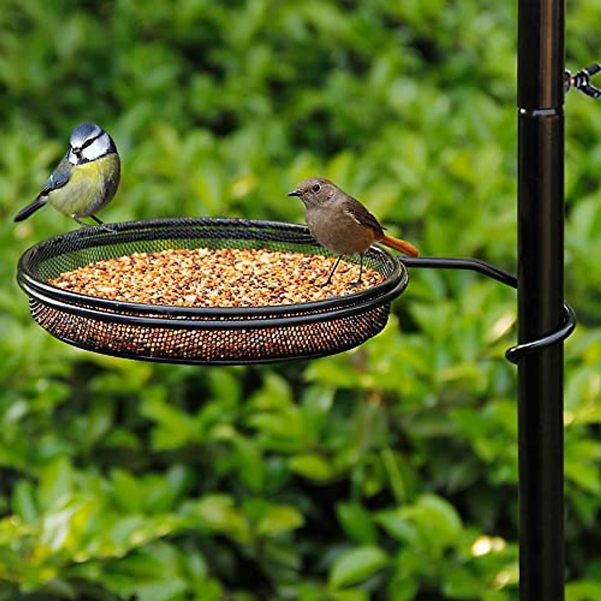 yosager Premium Bird Feeding Station Kit, 77" x 19" Bird Feeder Pole, Deluxe Multi Feeder Hanging Kit with Metal Suet and Bird Bath for Wild Birds Watching, Birdfeeder and Planter Hanger
