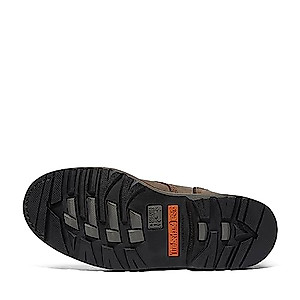 Timberland PRO mens Pit 6 Inch Steel Safety Toe Industrial Work Boot, Brown/Brown, 10.5 US