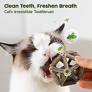 Potaroma Catnip Toys, 3Pcs Cat Toys Natural Silvervine Stick Cage Balls & Bell Ball for Indoor Cats, Kitten Cleaning Teeth Molar Tools Matatabi Cat Chew Toy