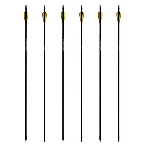 e5e10 12Pcs Fiberglass Arrows 31" Target Practice Arrows with Black and Yellow Fletches Unchangeable Sealed Tips for Recurve and Compound Bow Hunting Gift
