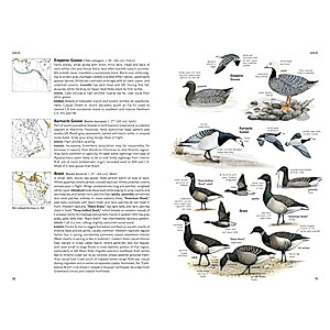 National Geographic Field Guide to the Birds of North America, 7th Edition