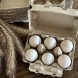 Henlay Duck Egg Cartons- Holds Half Dozen Jumbo Eggs- Blank Top (20)