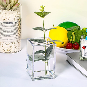 6 Pieces Clear Acrylic Pen Holder Makeup Brush Holder Desktop Holder Desk Goth Accessories Square Stationery Organizer, Transparent Pencil Holder Acrylic for Home Office School