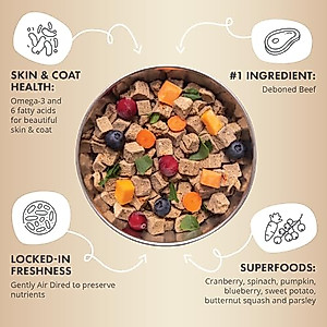 Health Extension Gently Air Dried Beef Dog Food, (2lb, 907 g) – Complete & Balanced with 85% Animal Protein and 30+ Superfoods for All Life Stages