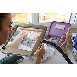 daylight24 402039-05 Full Page 8 x 10 Inch Magnifier LED Illuminated Floor Lamp, Silver