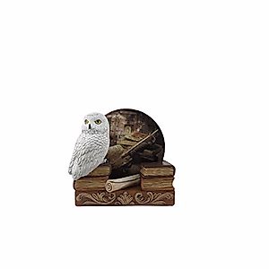 World of Wonders Spells & Potions Owl Coasters Set | Decorative White Owl Wizard School Decor | Absorbent Drink Coasters