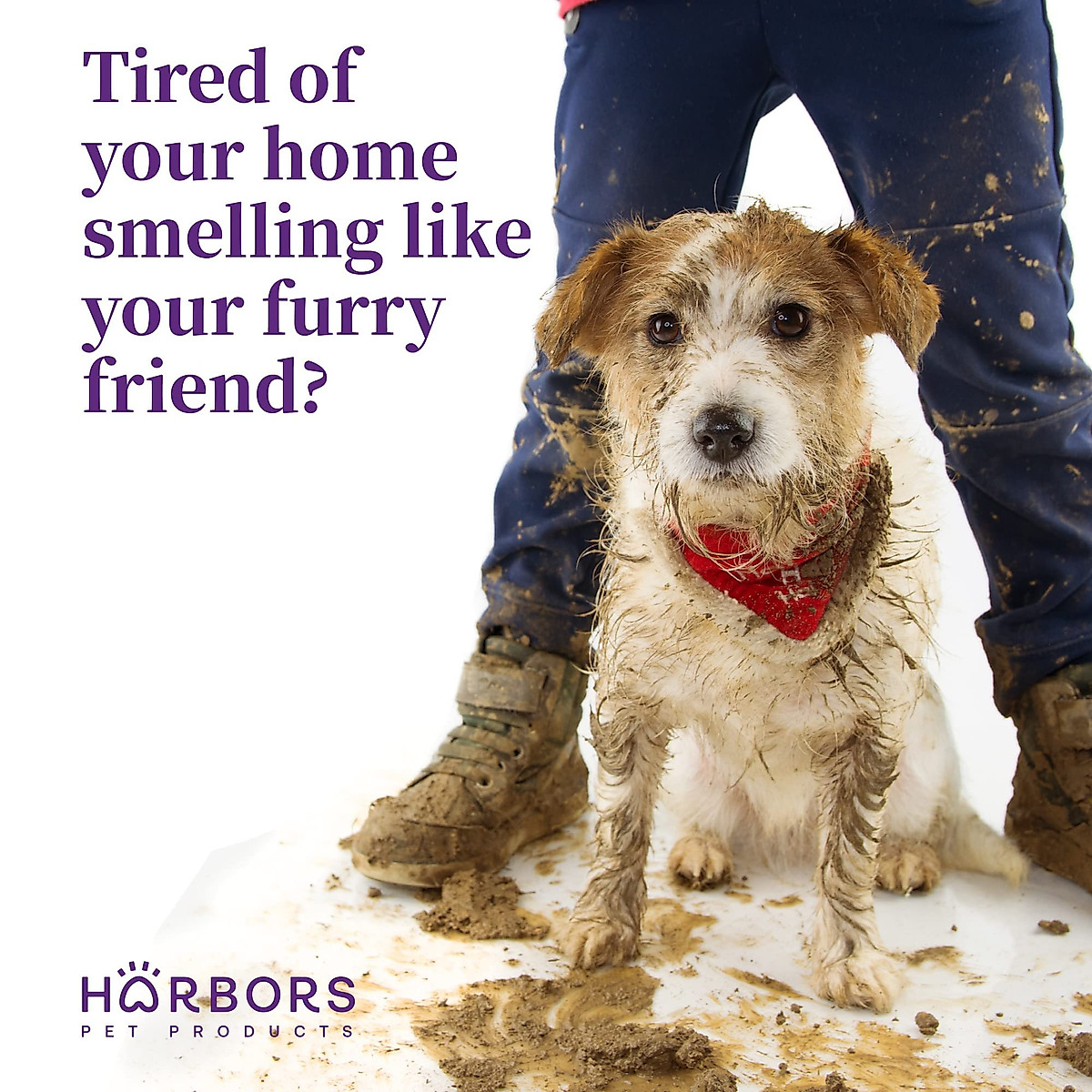 Harbor's Pet Cologne (Clean Cool Water)