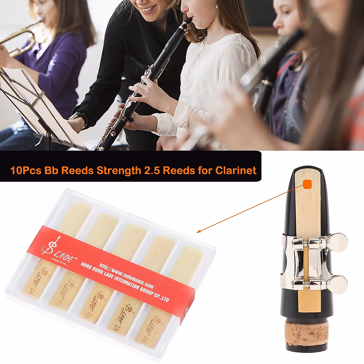 Clarinet Reed 2.5, Bb Clarinet Reeds Strength 2.5 with Plastic Case, 2.5 Clarinet Reeds, Pack of 10