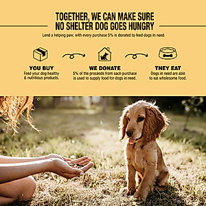 Stuffable Dog Ball Toy - Dog Chew Ball | Interactive Dog Balls for Aggressive Chewers | Dog Balls & Chew Toys for Teething | Dog Ball Chew Toy | Blue