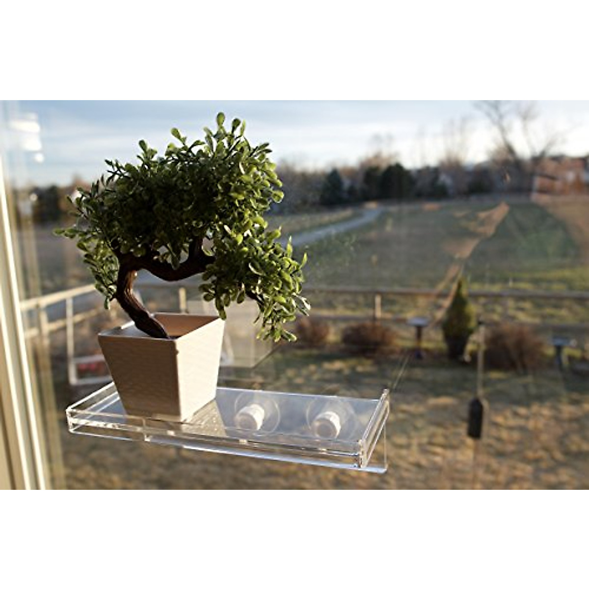 LaBrinx Designs Medium Suction Cup Shelf - Live Plants, Windows, and Bathrooms