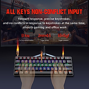 Wired 60% Mechanical Gaming Keyboard Mini Portable with Rainbow Backlit Full Anti-Ghosting 61 Key Ergonomic Double Foot Stand Type-C USB Waterproof for Typist Laptop PC Mac Gamer (Blue Switch)，Black