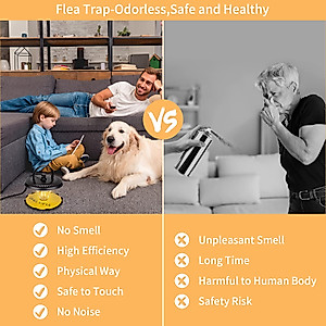 Protecker Flea Traps for Inside Your Home 2 Pack,Flea Treatment for House,Flea Killer Pest Traps for House Indoor,Reusable Flea Trap with Light Refills and Sticky Pads,Sticky Electronic Flea Trap