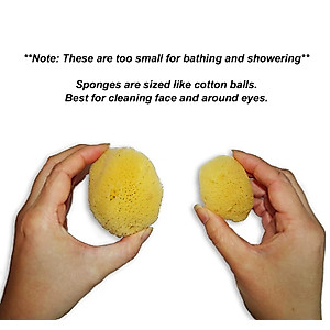 Natural Sea Silk Sponges 12pk: Size 9pc x1.5"-2.5" 3pc x 2.5"-3", like Cotton Balls, for Cosmetic Use, Makeup Application & Removal, Face & Eye Cleaning, with Luxury Gift Bag by Constantia Beauty®