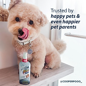 Dental Fresh Oral Spray for Dogs and Cats, Eliminates Bad Breath and Protects Their Teeth & Gums, 4 Fl Oz.