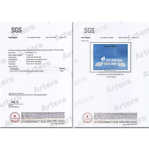 Quart Freezer Bags Reusable Food Storage Bags for Vegetable, Liquid, Snack, Meat, Sandwich, 8.46x7.28 Inch, 10 Pack