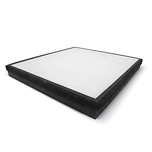 Fette Filter - Air Purifier True HEPA Filter F Compatible with Holmes HAP769. Compare to Part # HAPF700 (2 Pack)