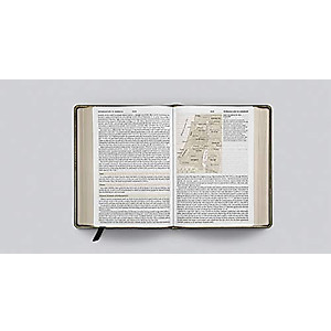 ESV Study Bible, Large Print (Genuine Leather, Black)