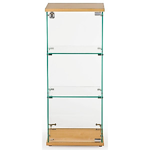 Displays2go CTRDSNTDV2 Countertop Mounted Glass Showcase