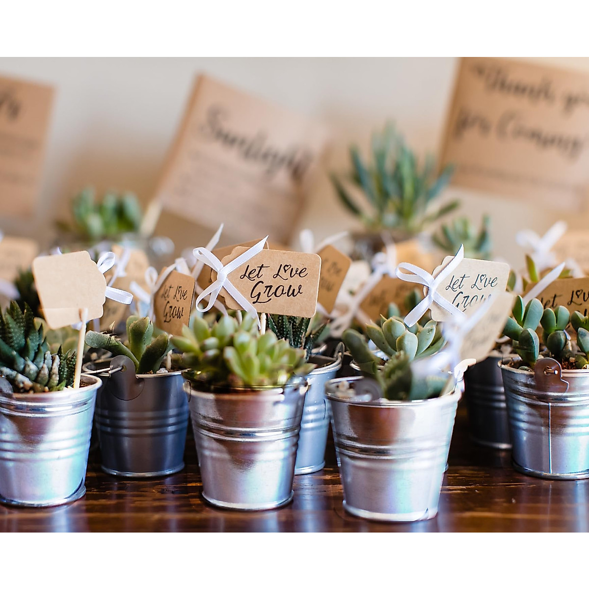 GIFTEXPRESS 12 Pack Mini Metal Buckets with Handles, Small Galvanized Tin Pails for Party Favor, Succulent, Wedding