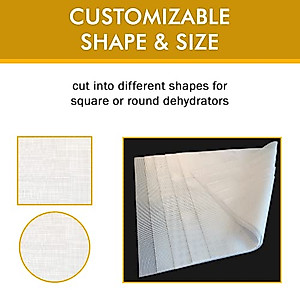 HippoHome Pack of 10 Silicone Dehydrator Sheets, Food Grade Silicone Coated Sheets, Square & 14X14 inches, Can Be Cut into Different Shapes & Sizes (10Pcs per Pack)