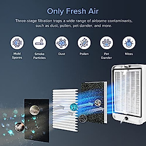 LEVOIT Air Purifiers for Bedroom Home, Blue & Air Purifiers for Bedroom Home, HEPA Filter Cleaner, White