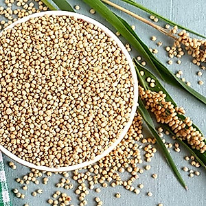 Nature Nate’s Popped Sorghum, Avocado Oil Sea Salt - Organic, Keto & Gluten Free, Whole 30, Healthy Snacks, Better Than Popcorn, Made in USA - 5 Ounce