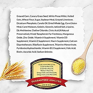 LAFEBER'S Classic Avi-Cakes Pet Bird Food, Made with Non-GMO and Human-Grade Ingredients, for Cockatiels Conures Parakeets (Budgies) Lovebirds, 8 oz