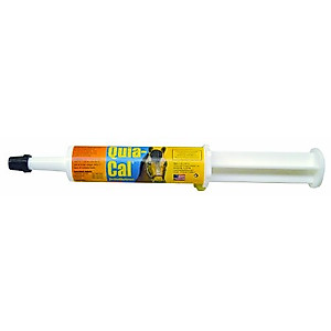 Finish Line Horse Products Quia-Cal (Syringe)