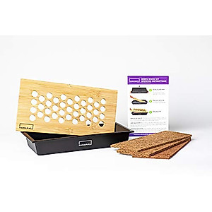 Hamama Home Green Onion Kit, Regrow Fresh Green Onions Indoors Every Week, 30-Second Setup, Just Add Water, Green Onion Ends. Includes Growing Tray, Coco Fiber Mats, Easy Instructions. Cooking Gift.