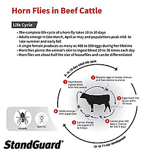 Neogen 1907840 Prozap StandGuard Pour 900 mL Insecticide, Yellowish/Brown