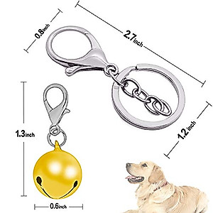 Aoche Pet Bells for Dog Cat Collar 6 pack,Charm Pet Pendant Accessories with1 Pack Stainless Steel Keychain (XS)